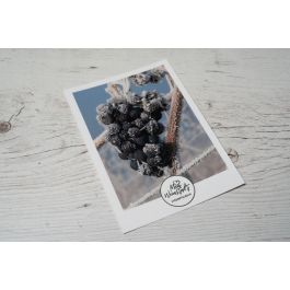 Weintrauben im Winter